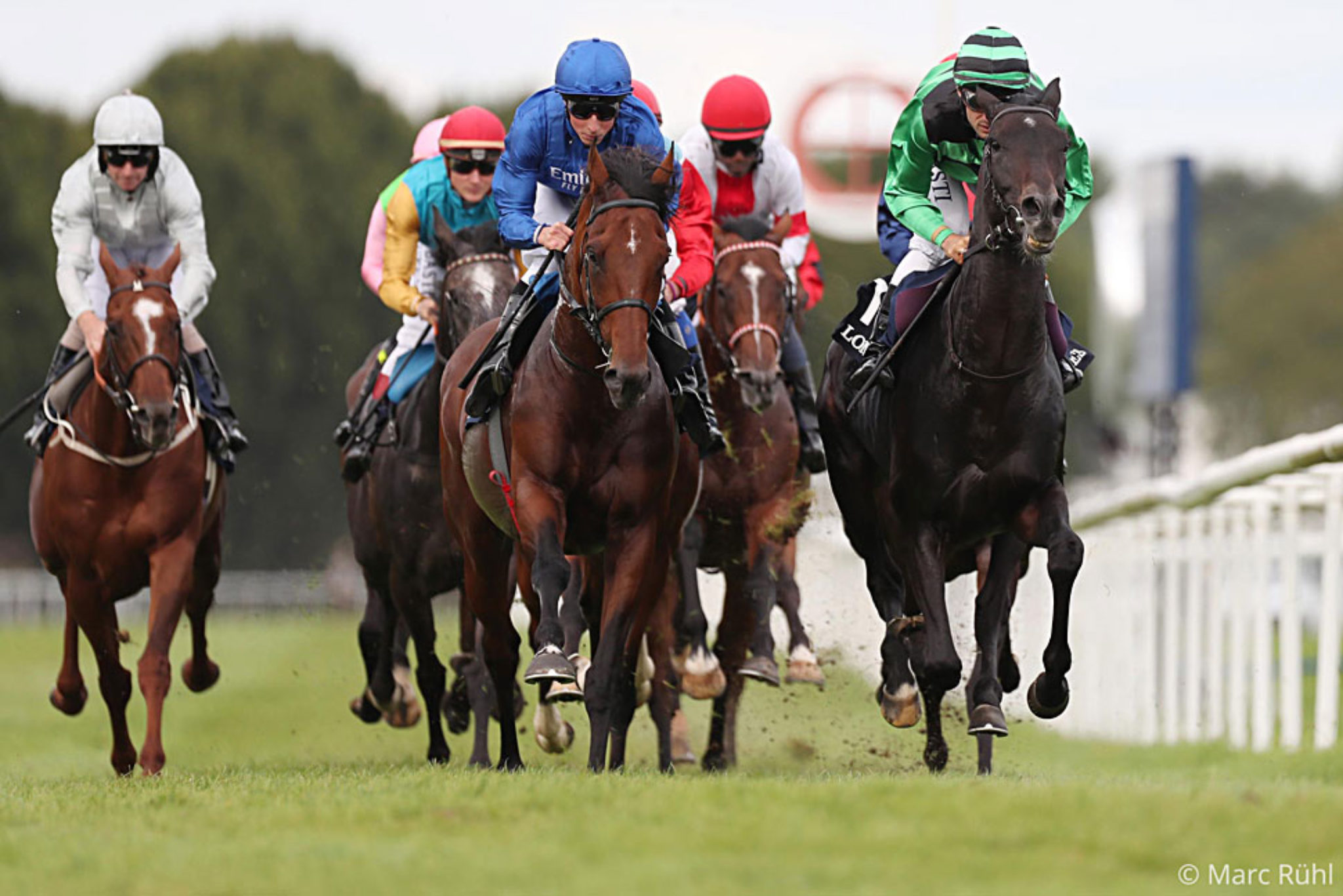 Galopprennsport: German Racing, German Tote und Riedel kooperieren ...